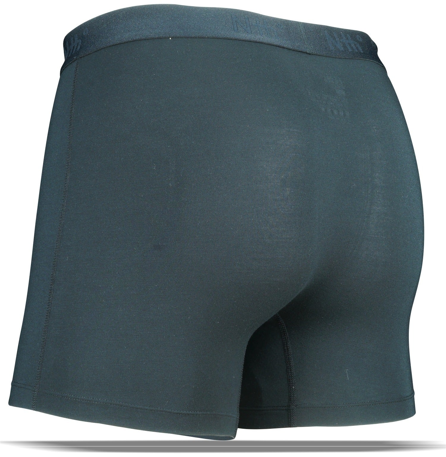 Black Plus Size Boxer Brief in Micro Modal – Nth Degree Underwear